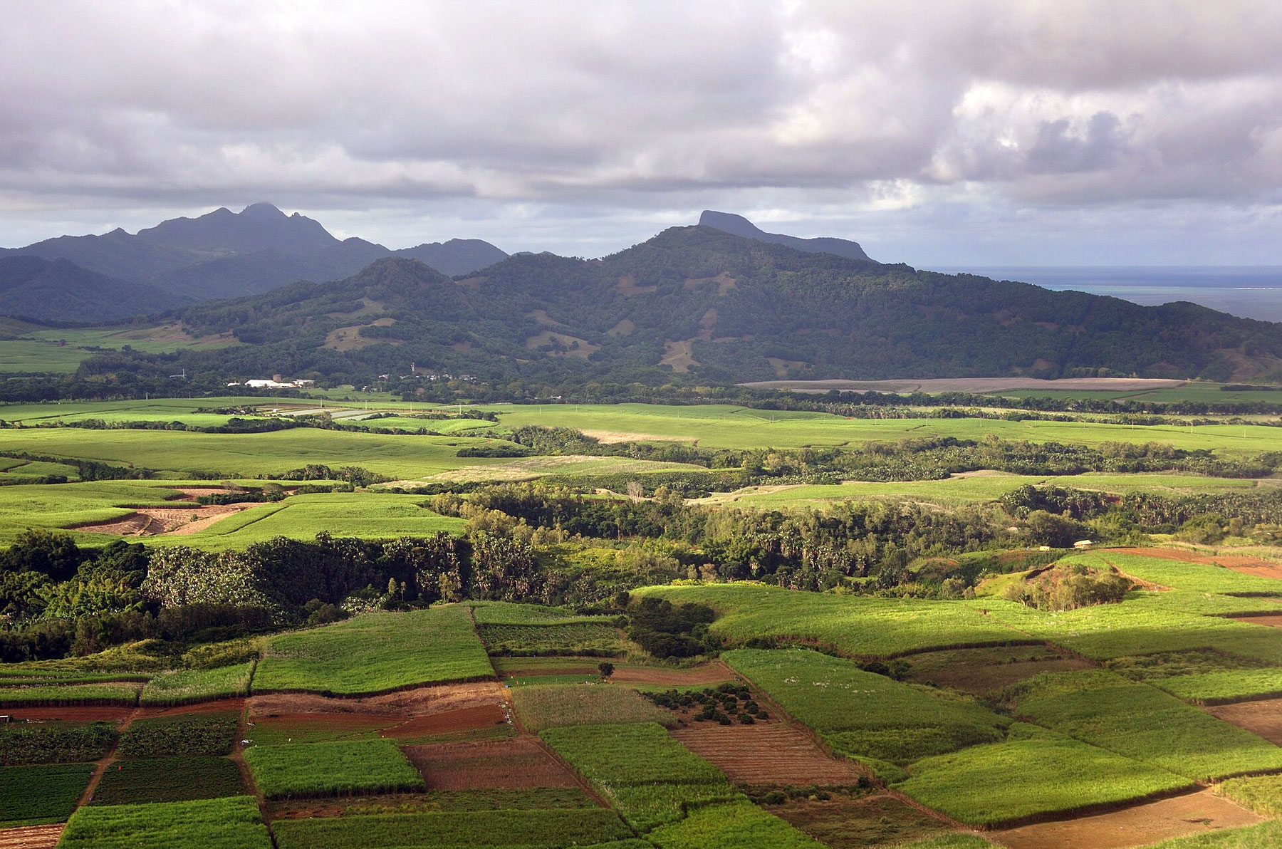 Seasonal Office Closure 2024 : Sugar Investment Trust