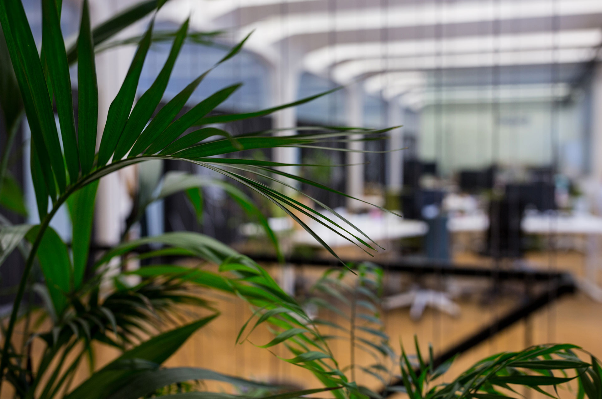 Rental Space : Sugar Investment Trust